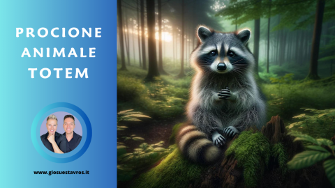 Procione Animale Totem, Animale di Potere, Animale Guida | Giosuè Stavros